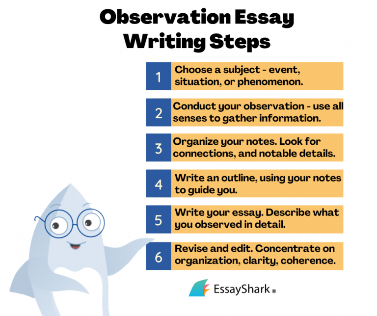 How to Write an Observation Essay: Writing Steps, Sample and Tips