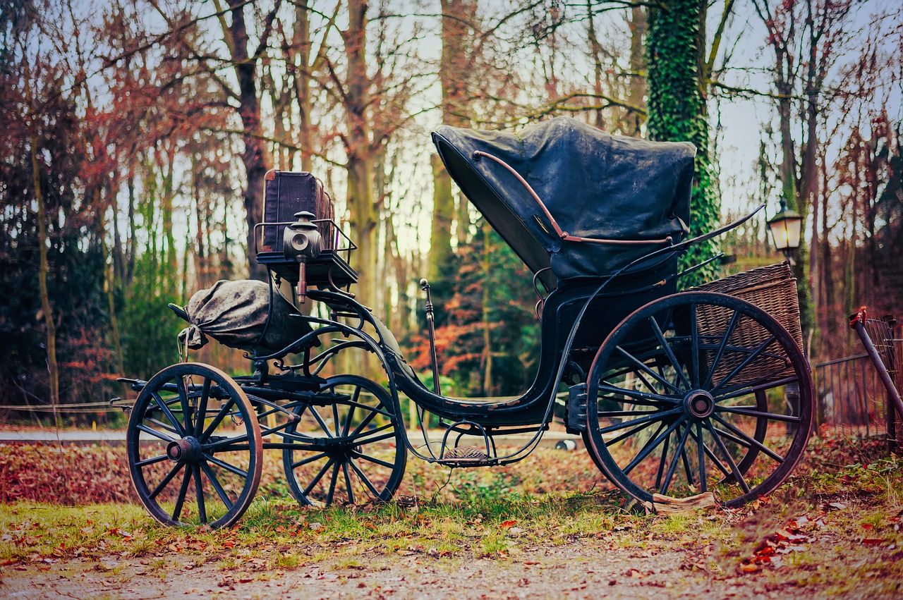 Easy History Essay Topics You Will Like