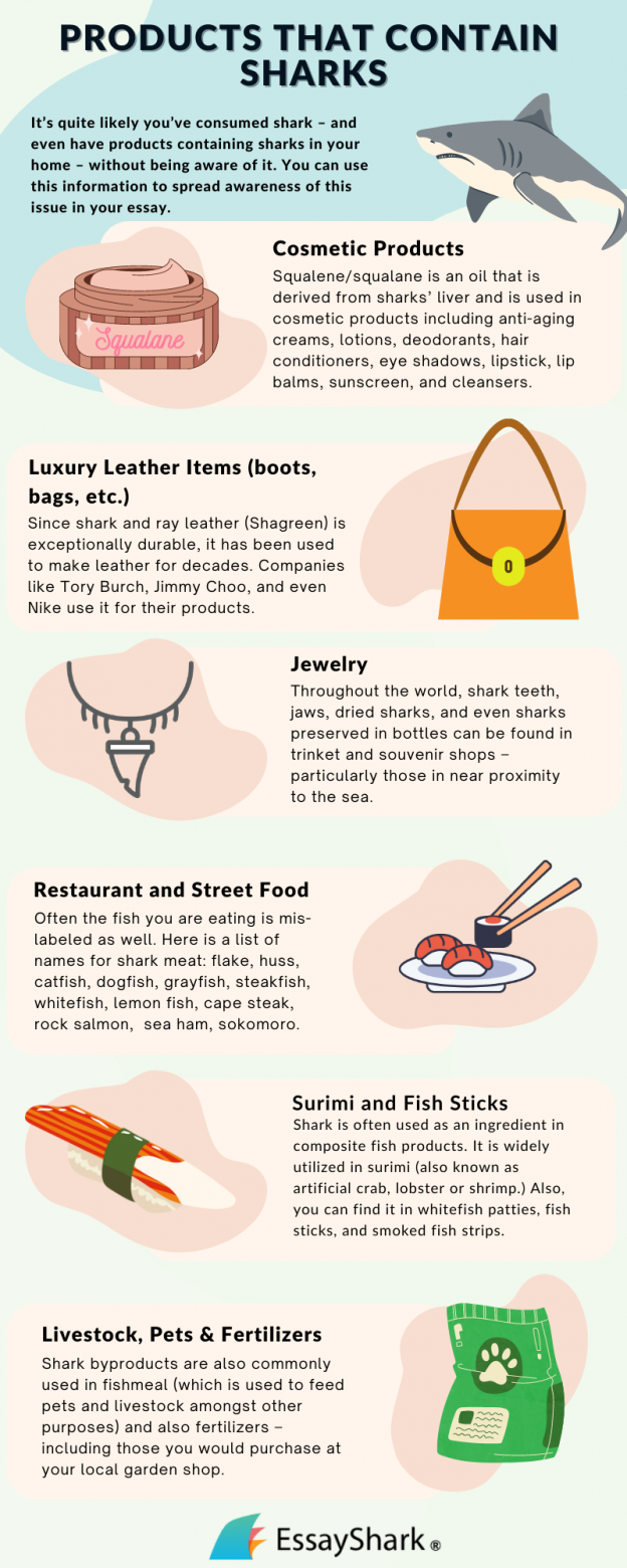 Write Your Paper About Sharks Using Our Guide