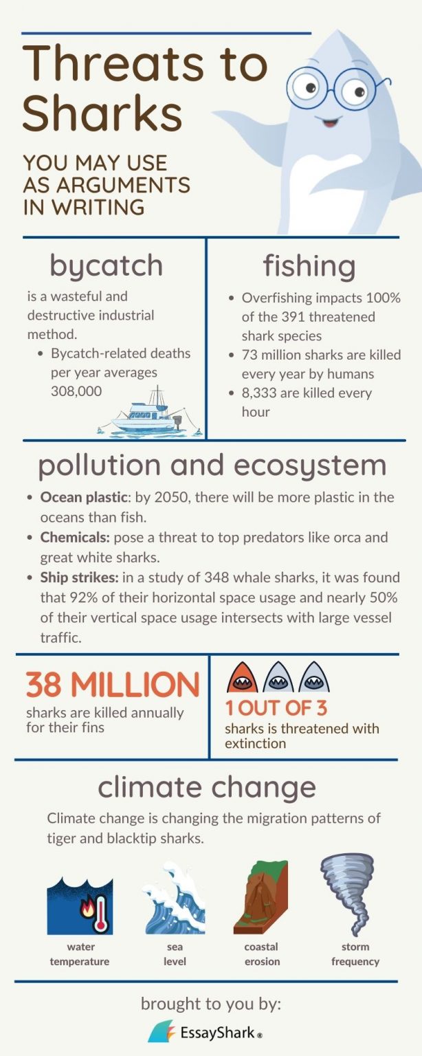 Write Your Paper About Sharks Using Our Guide