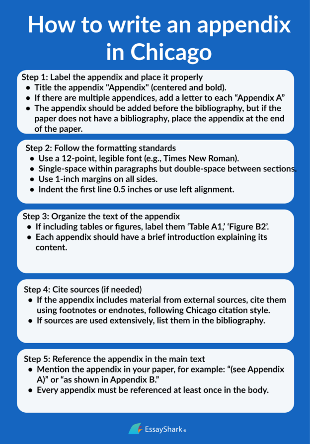 How to Write an Appendix: Structure, Format & Examples