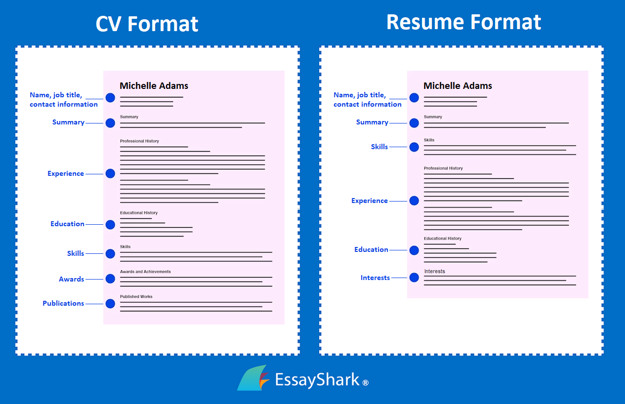 How to Write a CV: Tips, Mistakes, and Examples