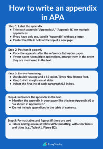How to Write an Appendix: Structure, Format & Examples