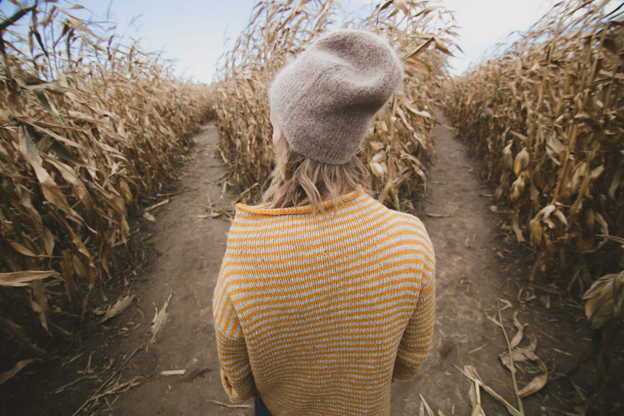 Essay Sample About Making a Choice of Being Offended Essay Sample About Making a Choice of Being Offended