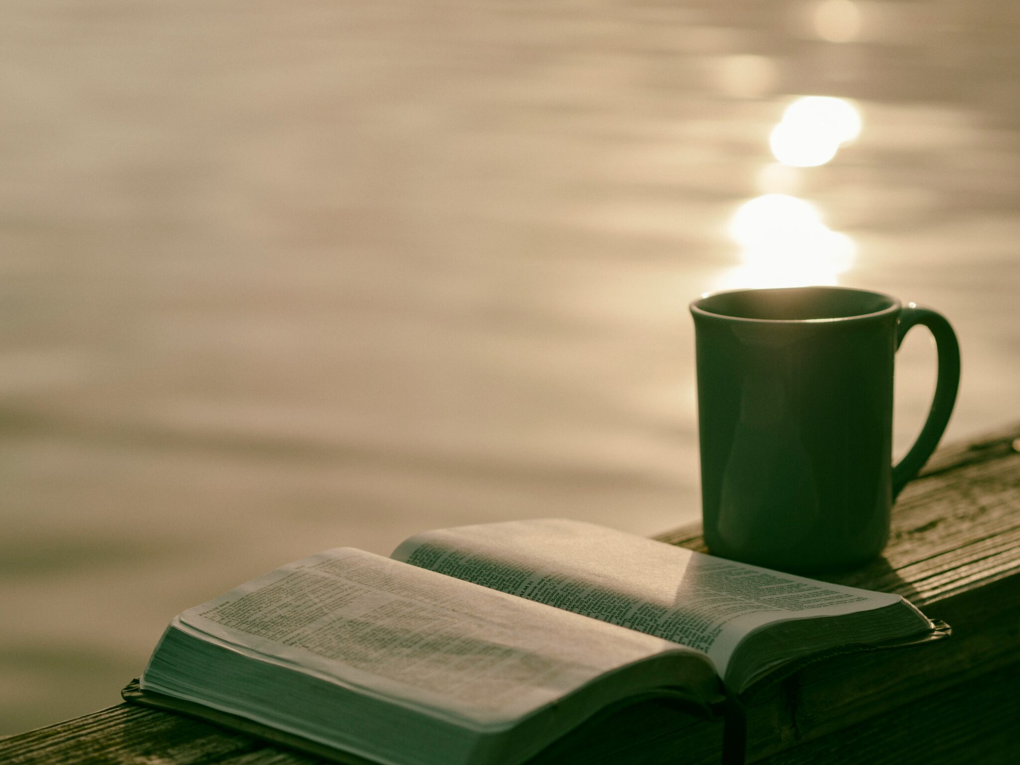 Essay Sample About Benefits of Reading Books